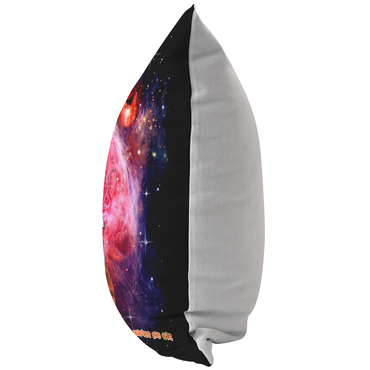 Space Waffles Pillow – Waffles the Cat